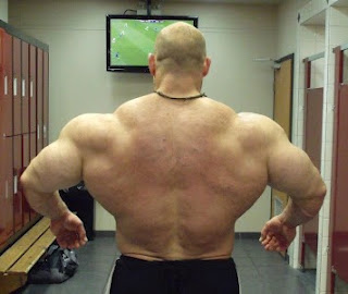 world bodybuilders pictures: uk bodybuilder Martin Stevenson