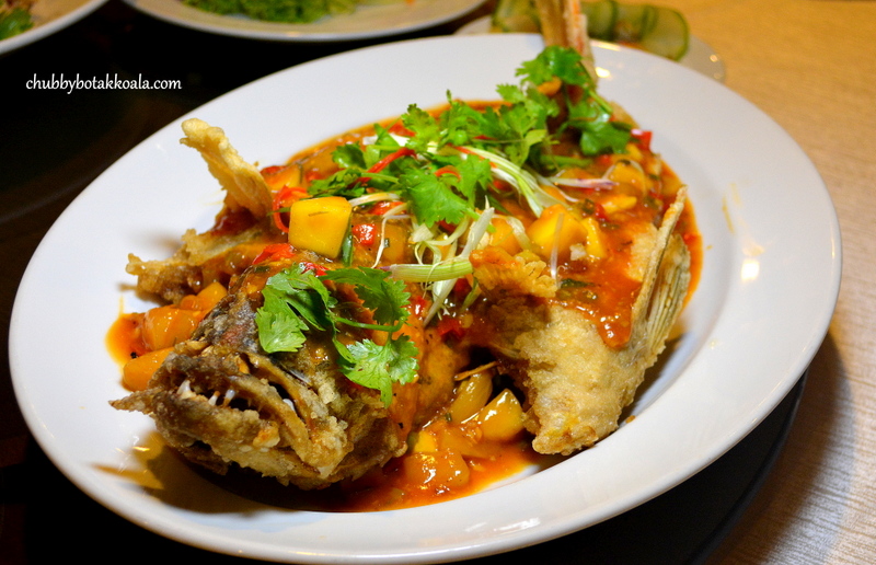 Chubby Botak Koala - Singapore Food Blog, Travel and Lifestyle: Café ...