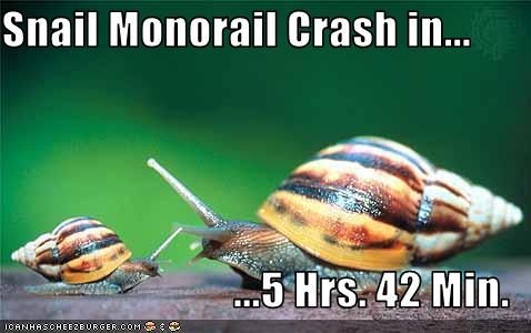 funny snail pictures |Funny Animal