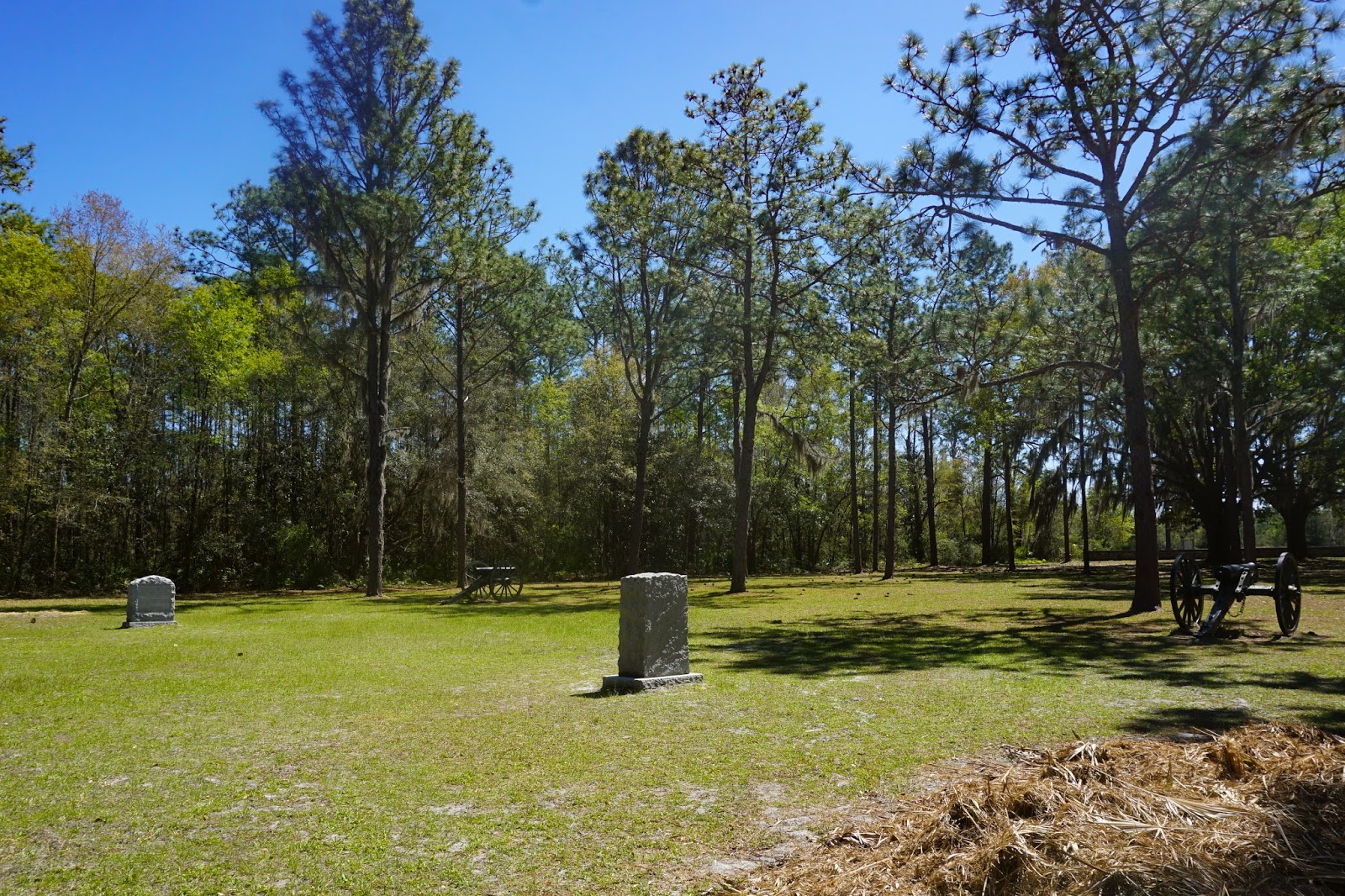 The Mountain Lioness: Olustee Battlefield - The Largest Civil War ...