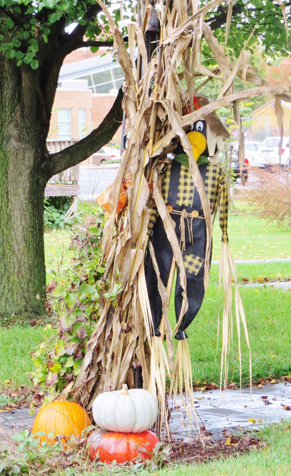 Let Your Light Shine: Can Crows Scare Other Crows?