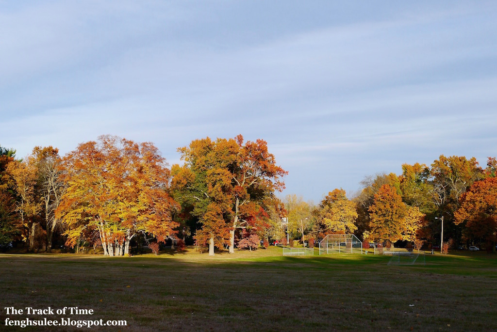 Autumn of the Elizabeth Park (3) | The Track of Time
