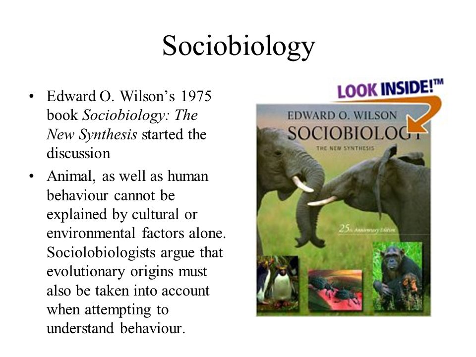 EXAMS AND ME : Sociobiology