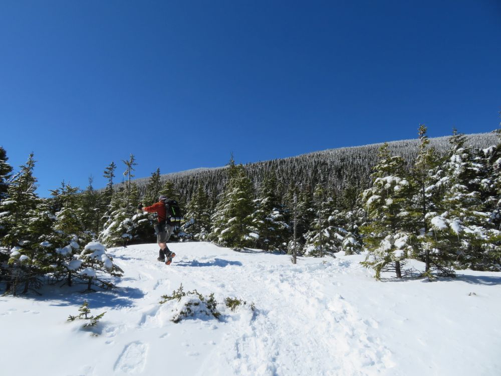 Outdoor Diversion: Hiking the Willey Range on a Spectacular Day