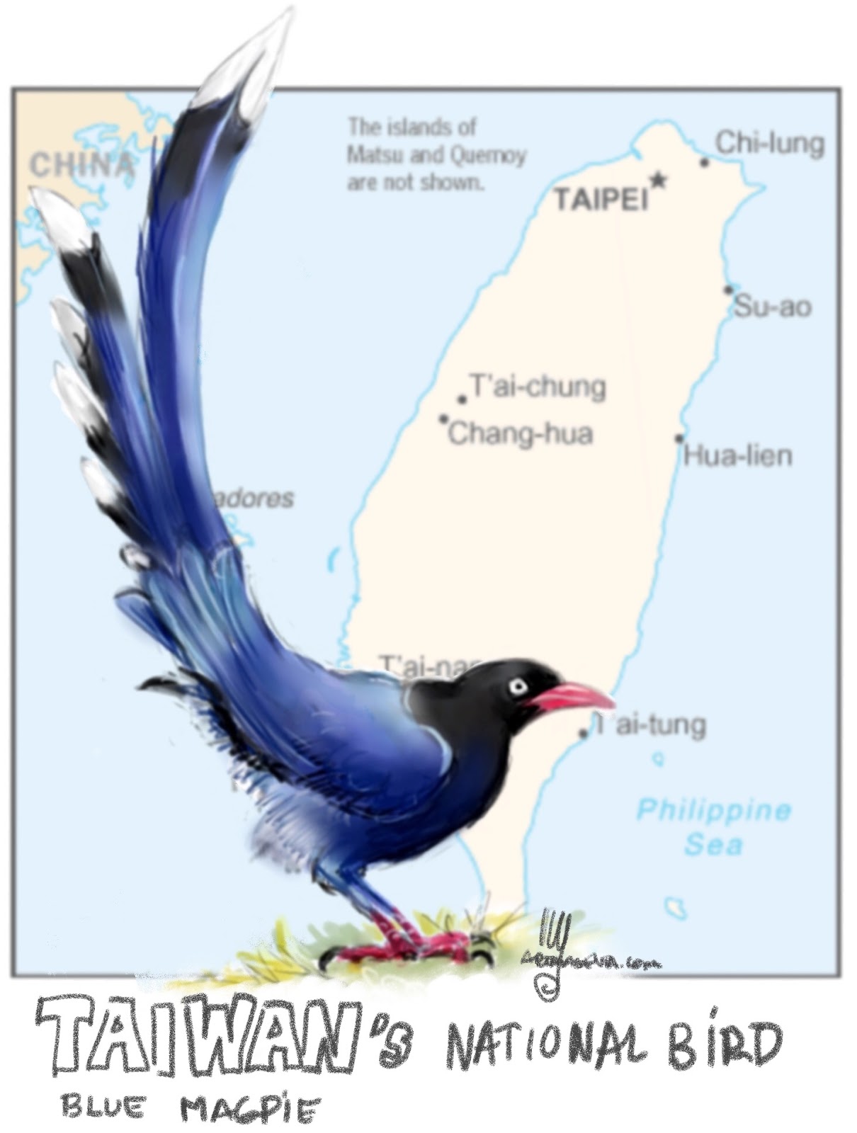 Birds: Taiwan blue magpie
