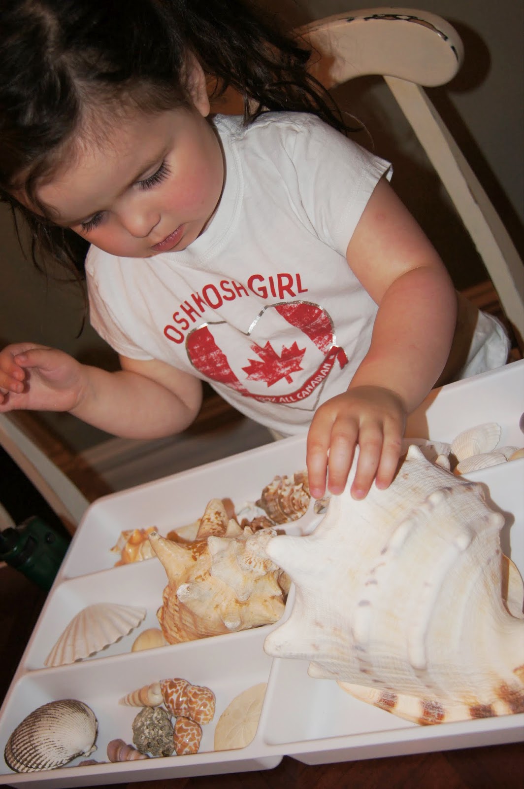 Kids Shell & Seashore Exploration - "Making Montessori Ours"