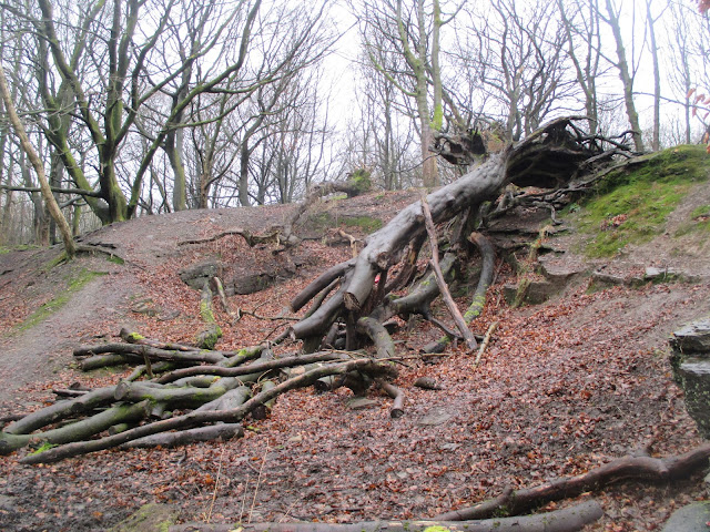 The Meanderthals: ORRELL WATER PARK