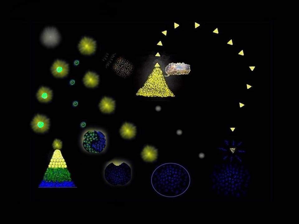 A Simple Explanation of Absolutely Everything: A Simple, Animated ...