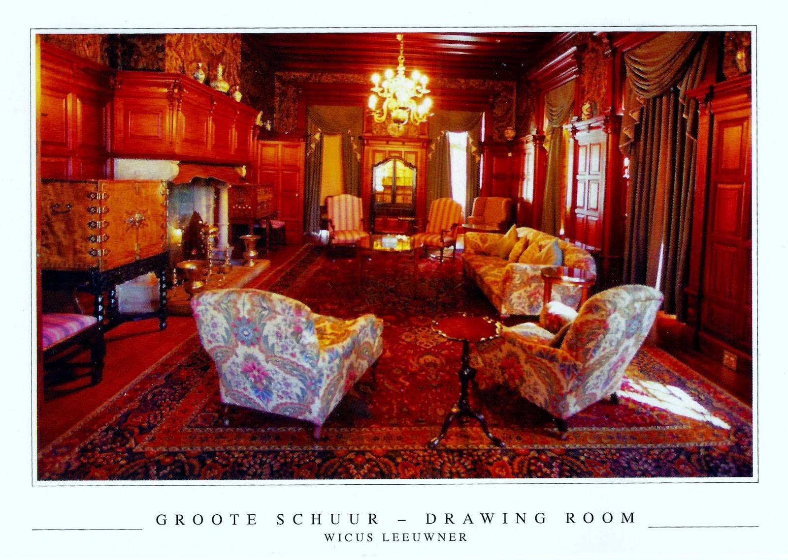 The Great Wildebeest Migration: Groote Schuur