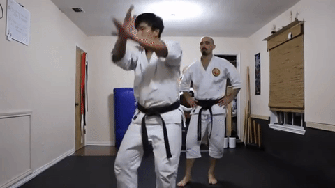 Foot Fist Way: April 2017