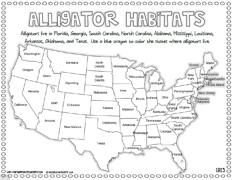 Our Sweet Success: Alligator Research Bundle {with Math and Literacy}