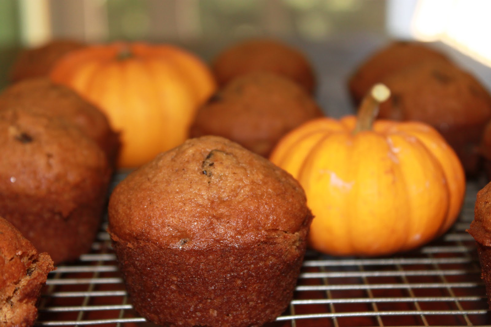 The Martha in Me: Pumpkin Raisin Muffins