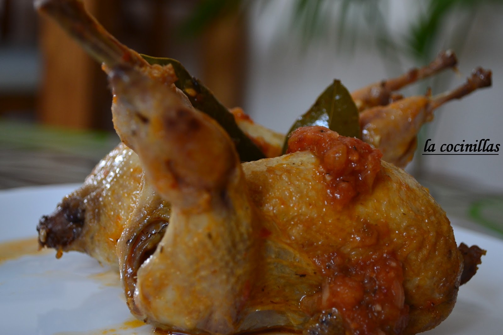 Codornices con tomate - La Cocinillas