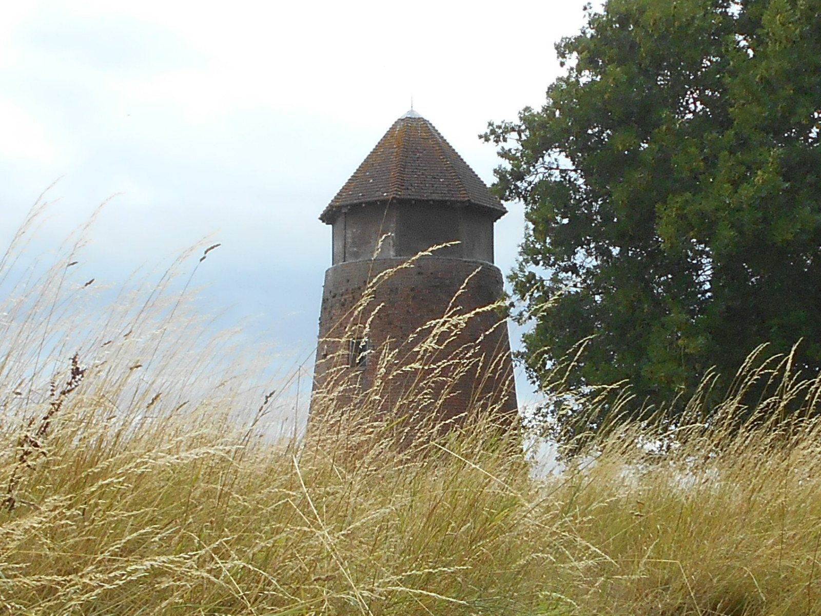 Tony's Blog: Newnham Hill