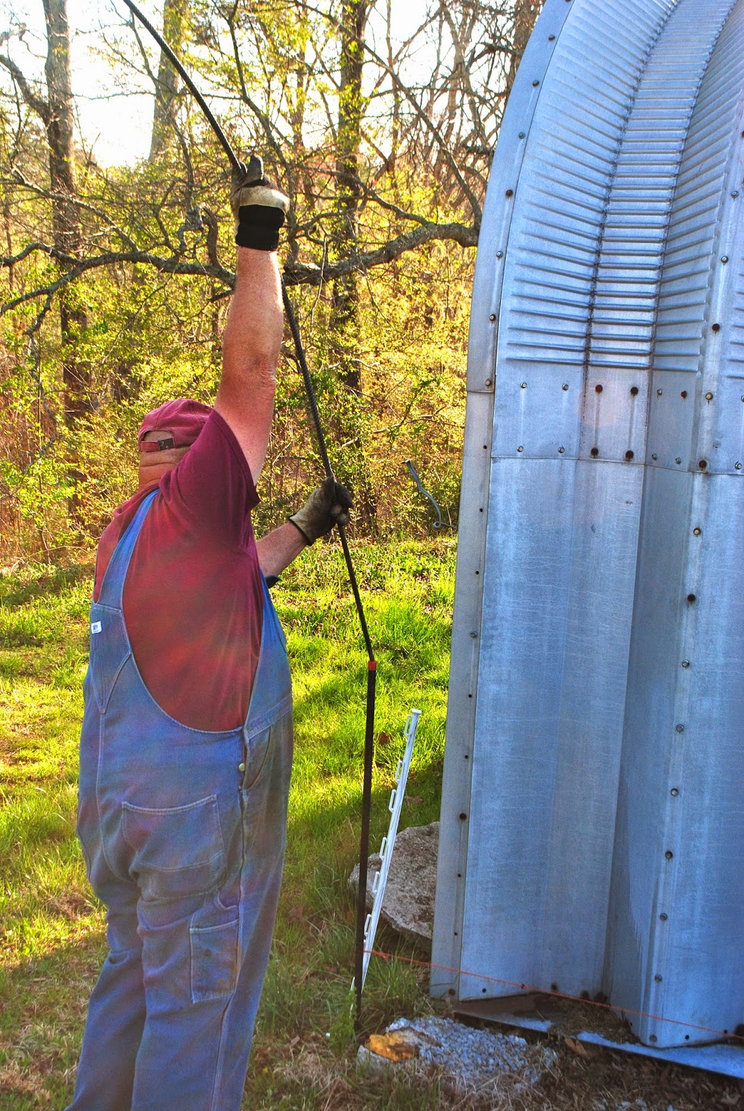Adventures on Zephyr Hill Farm: DIY Rebar Grape Arbor