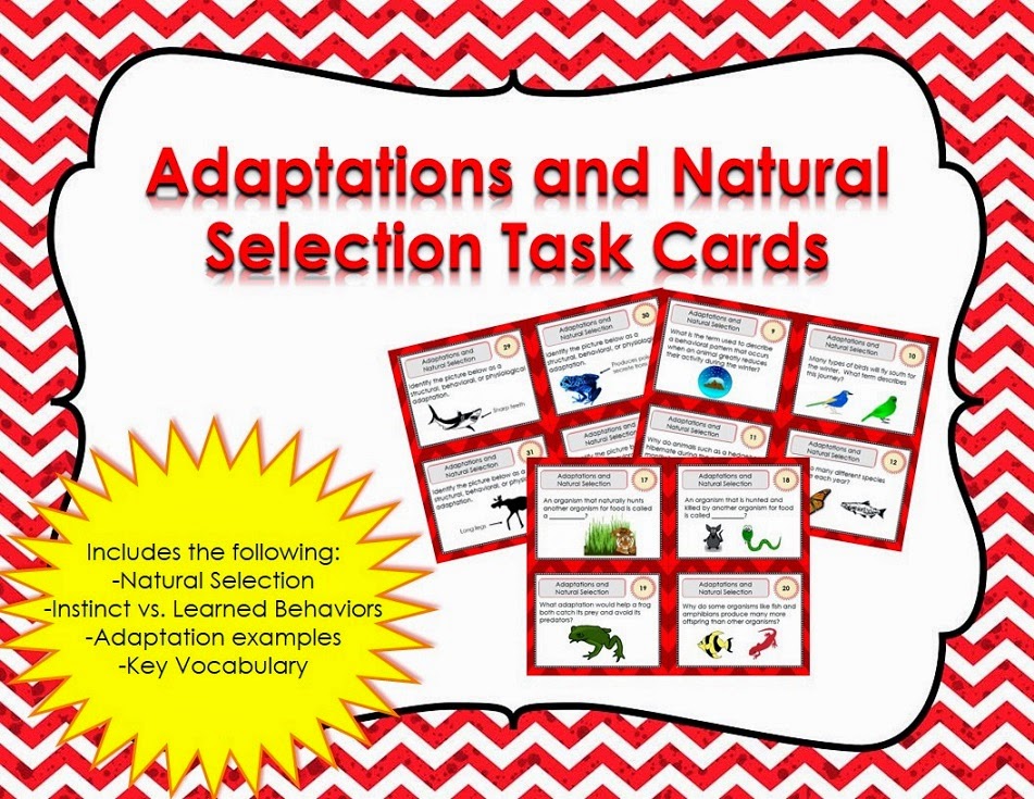 Becca The Science Girl & Other Amazing Educational Things: Super ...