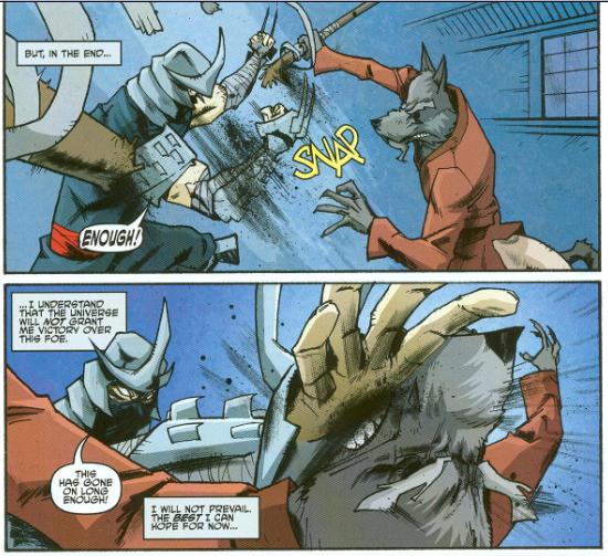 TMNT Entity: TMNT (IDW) #12