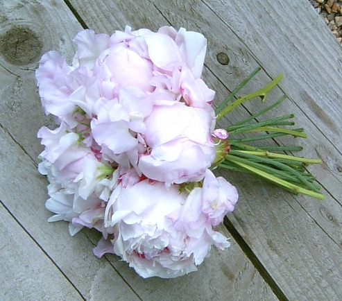 FrenchBlue: It's Just Another Day