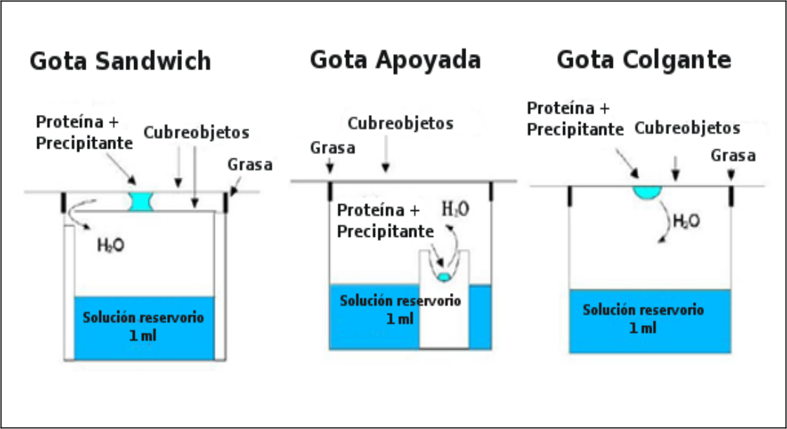 Cristalografía de Rayos X