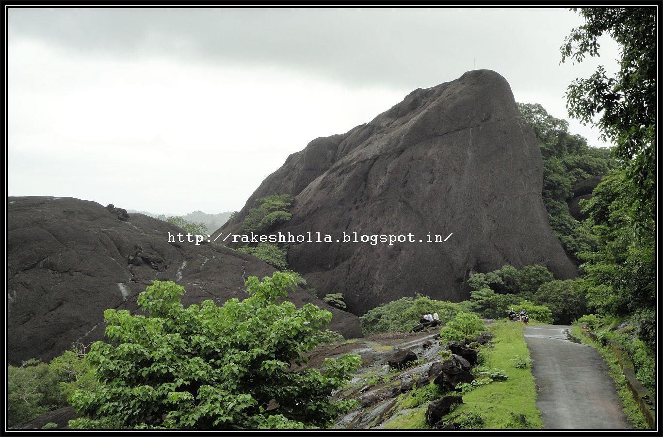 The Voice of Greenery - Trekking and Travelling in Western Ghats: The ...