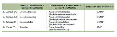 Deoxyribonuciec Acid (DNA) Substansi Dasar Molekul 4 Macam Basa ...