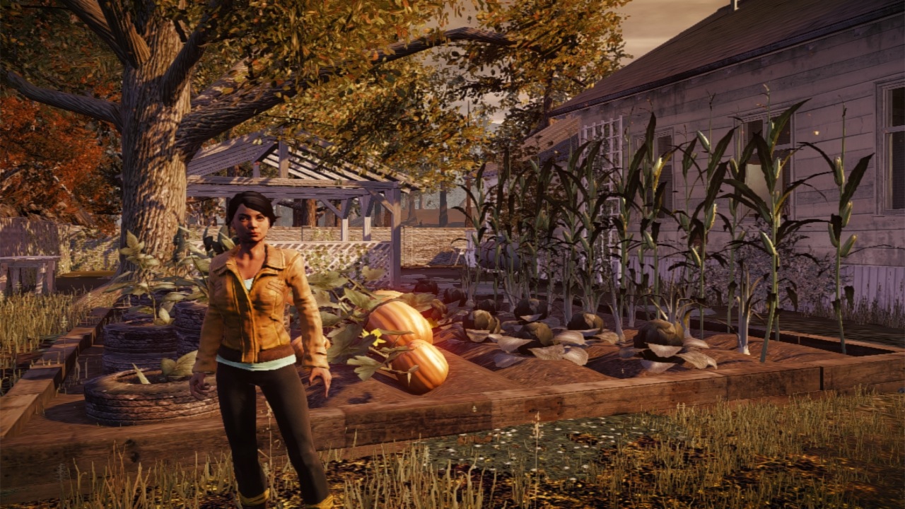 State of Decay Review