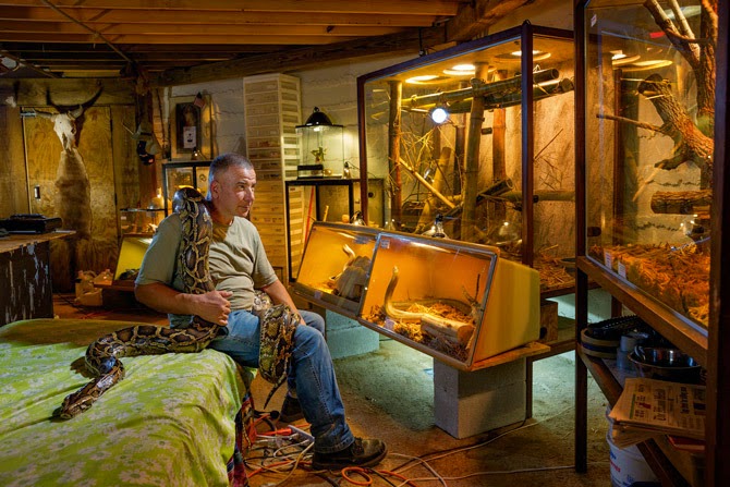 Man living with Venomous Snakes in One Room Apartment [Photo]