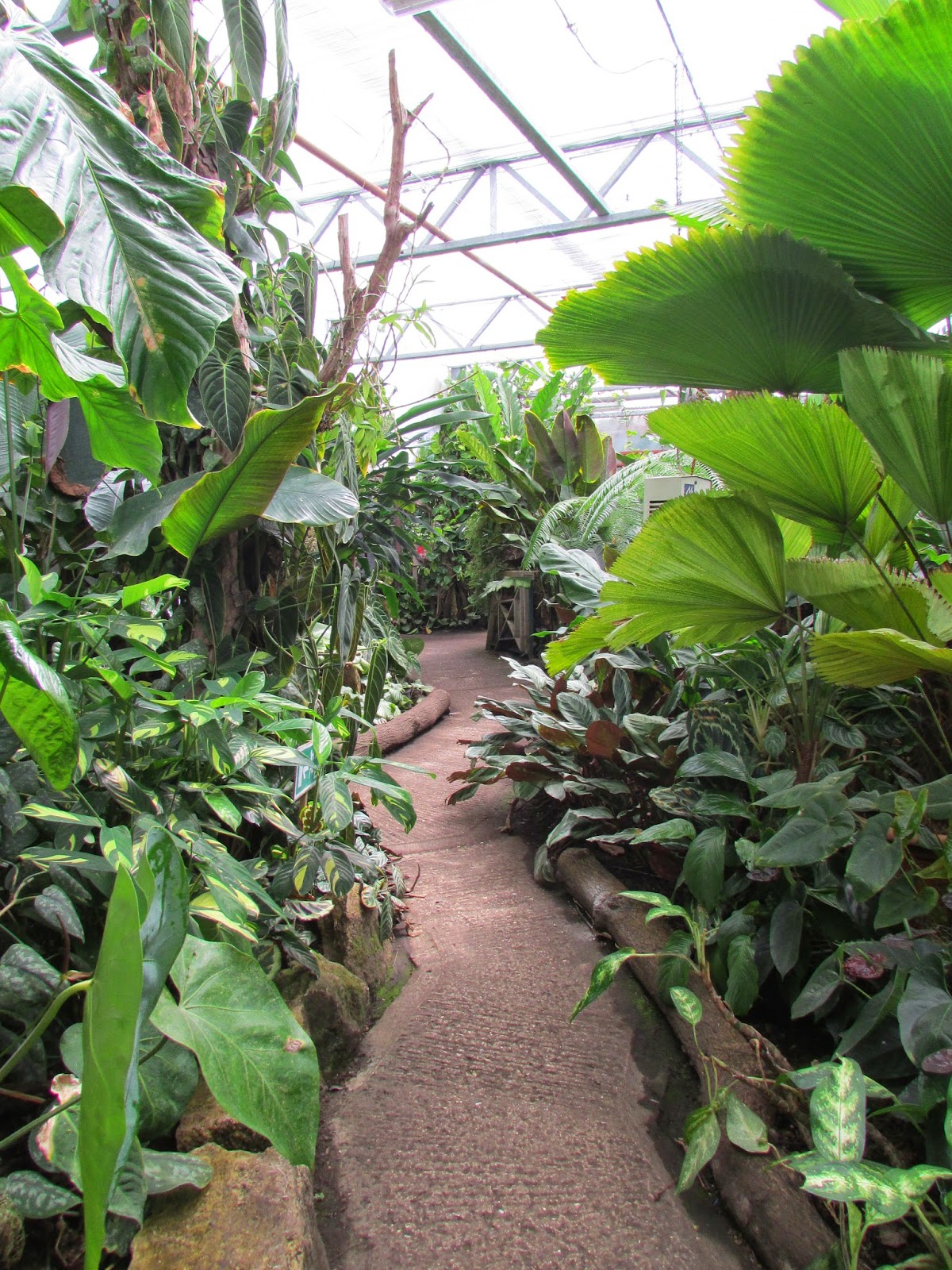 yorkiestyles: Exploring……Living Rainforest, Berkshire