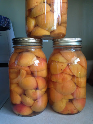 menu managed: Canned Apricots