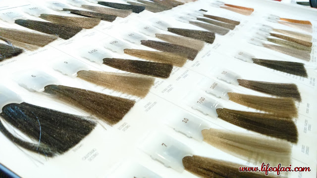 ELGON, Professional Hair Color From Milan Now in Manila + Fabulash from ...