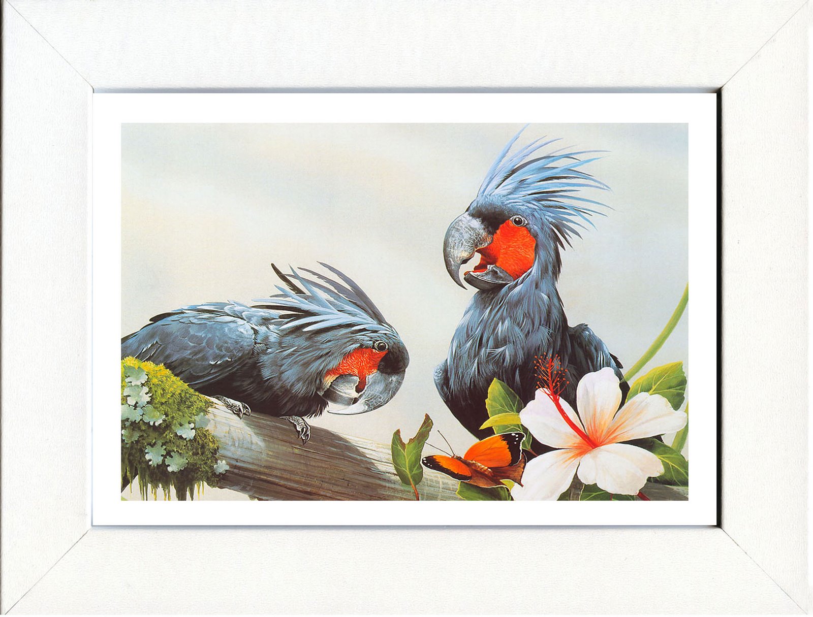 jjjewel.resimlerim: KUŞ VE DOĞA TEMALI RESİMLER