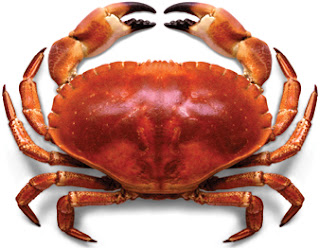 Fish n Bits: Devonshire Crab...