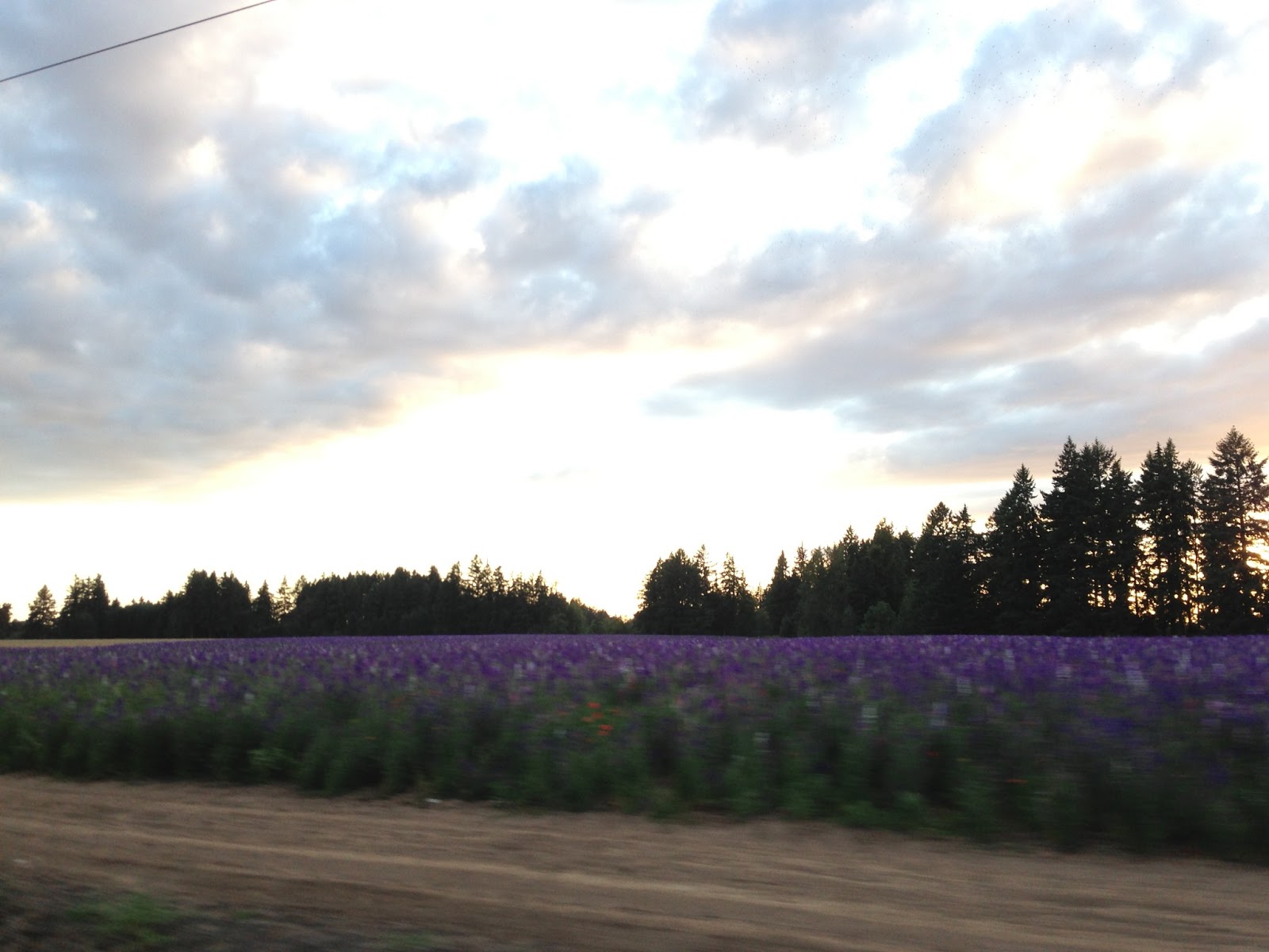 My Eclectic Thoughts: Oregon Countryside... Lots of Barns, Farms and ...