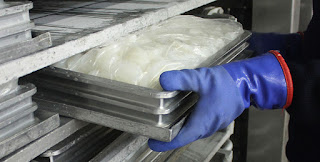 EXPORTACIÓN DE POTA CONGELADA: DESCRIPCIÓN DEL PRODUCTO