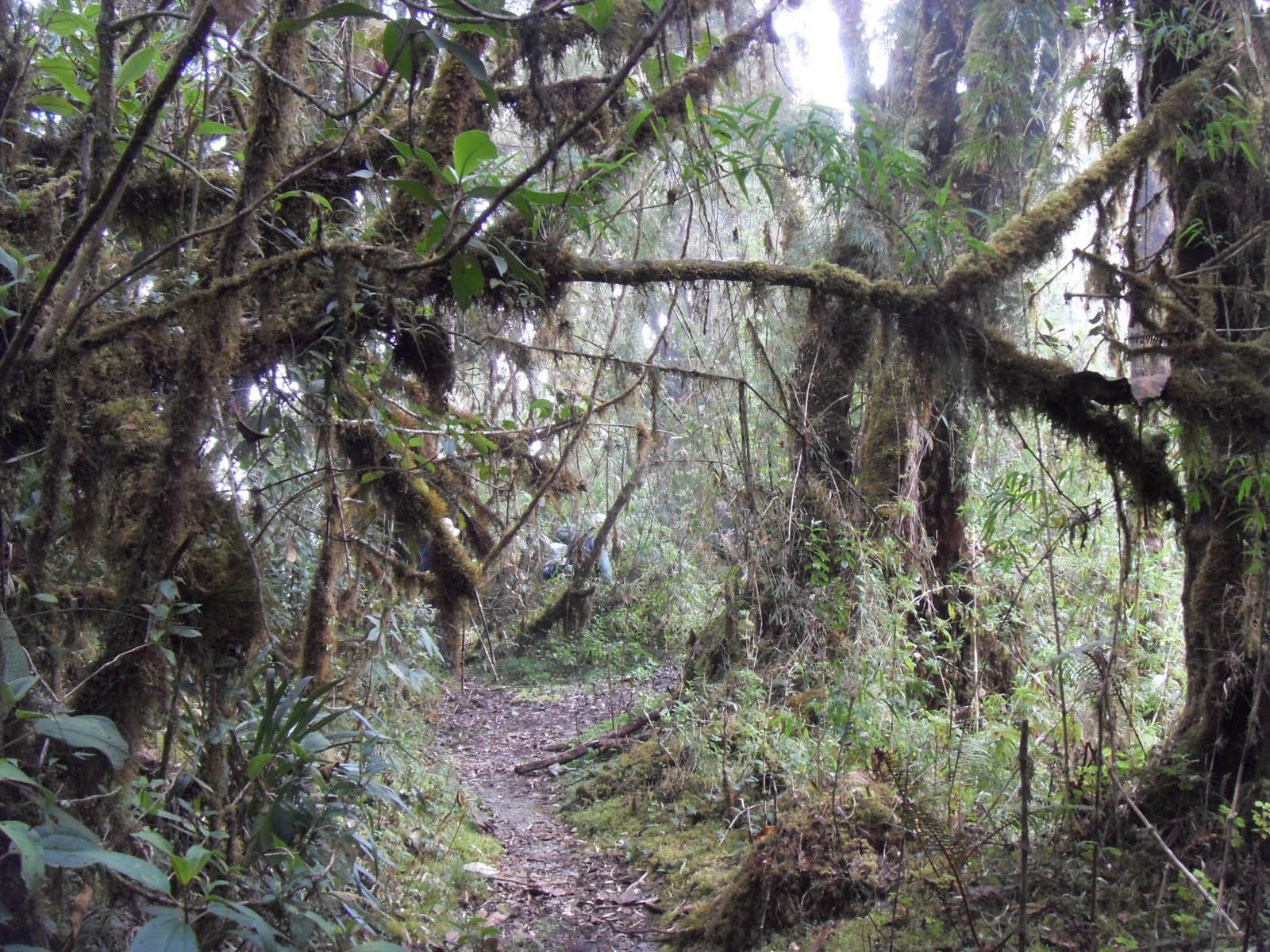 Brisbane to Barcelona: Yunga Cruz Trek