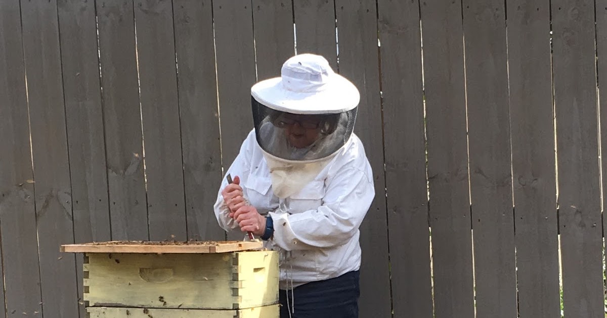 Linda's Bees: Safety First in Beekeeping or Where has my Girl Scout ...
