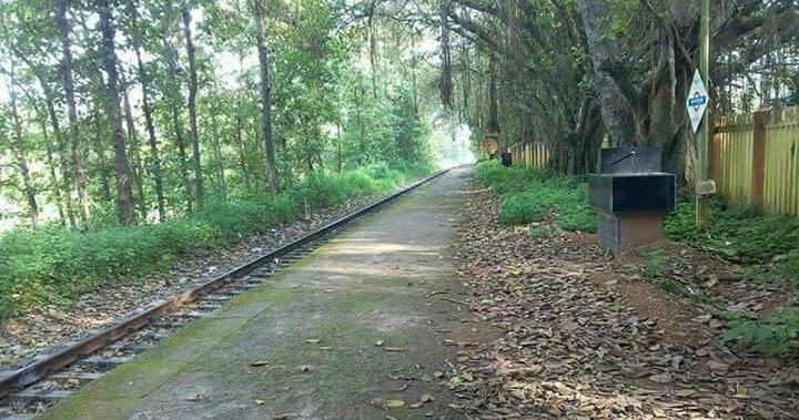 Shornur, place that presents with lot of scenes - avalshe98