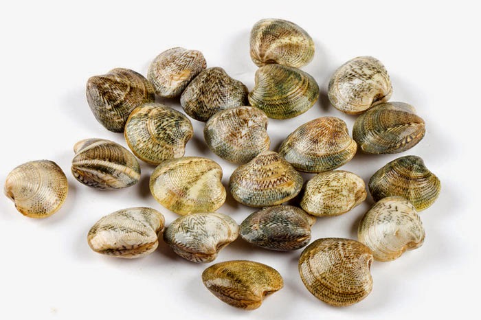 Spaghetti con chirlas y gambas | Nutrición a las 6