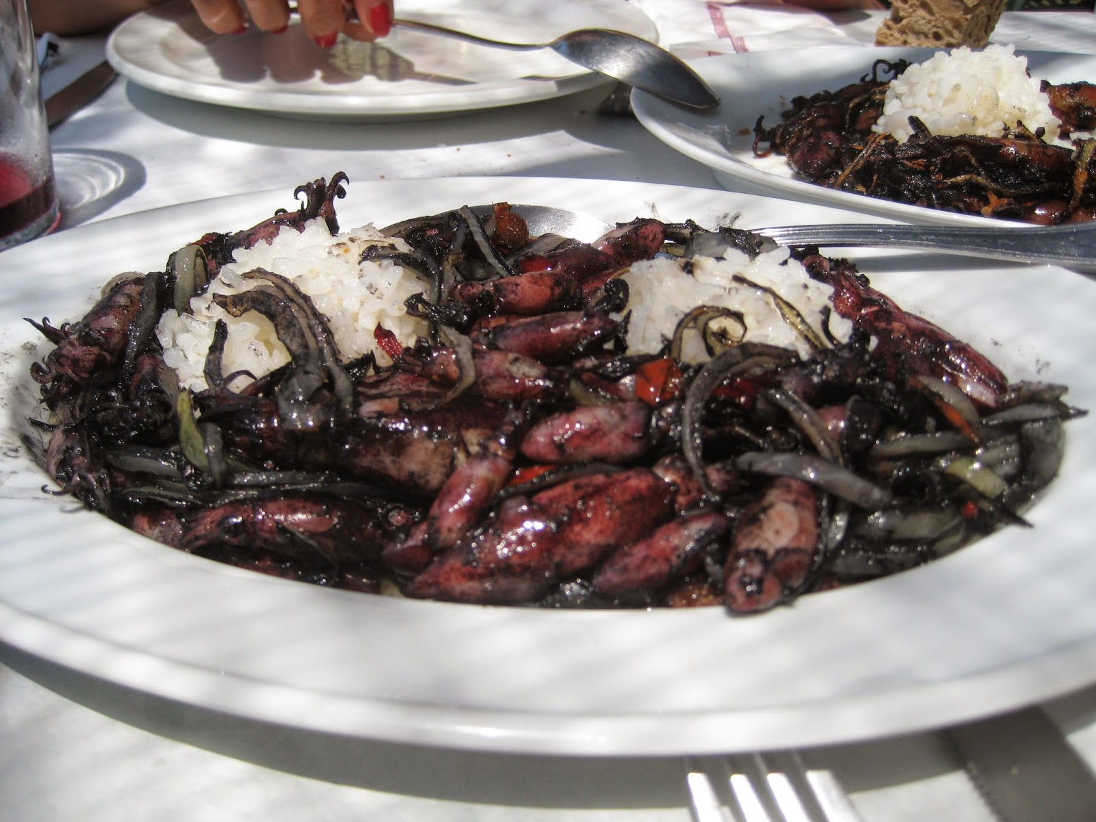 El rincón de Mundín: LOS CEFALÓPODOS: EL CALAMAR, LA JIBIA Y EL PULPO