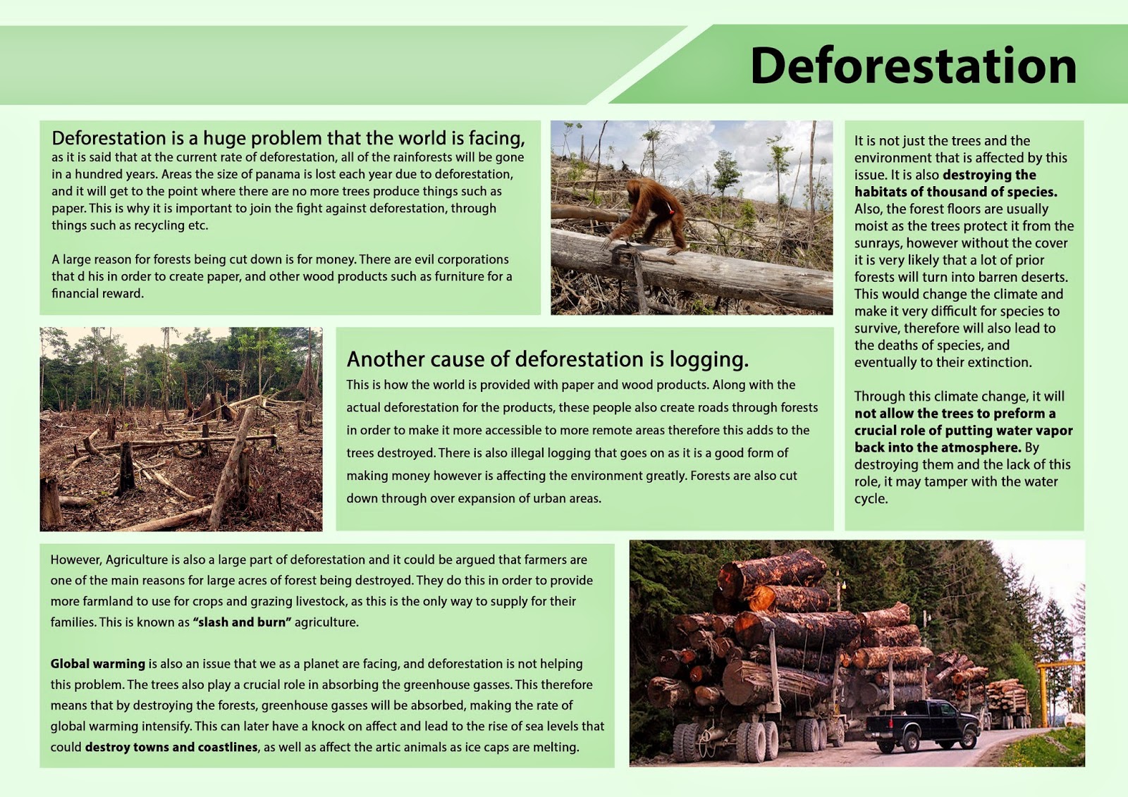 Graphic Design Portfolio: Jack Pomfret: January 2015