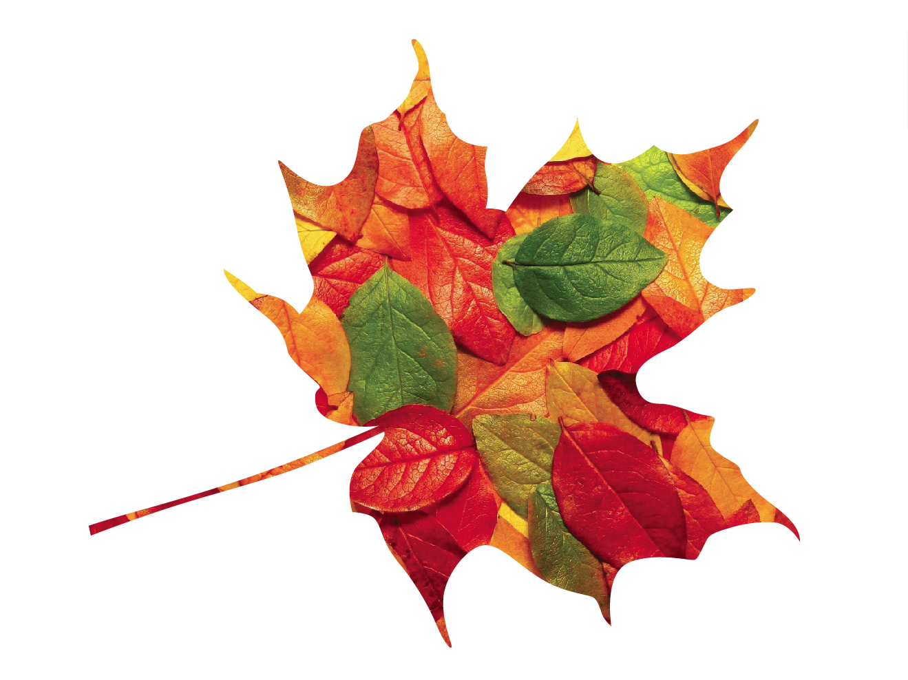 Intro To Digital Art 2013 Illustrator Create A Clipping Mask Intro To Digital Art 2013 Illustrator Create A Clipping Mask