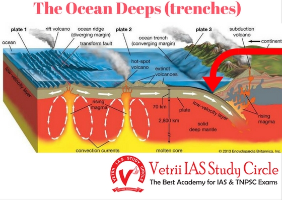 THE RELIEF OF THE OCEAN BASINS - UPSC - TNPSC General Knowledge