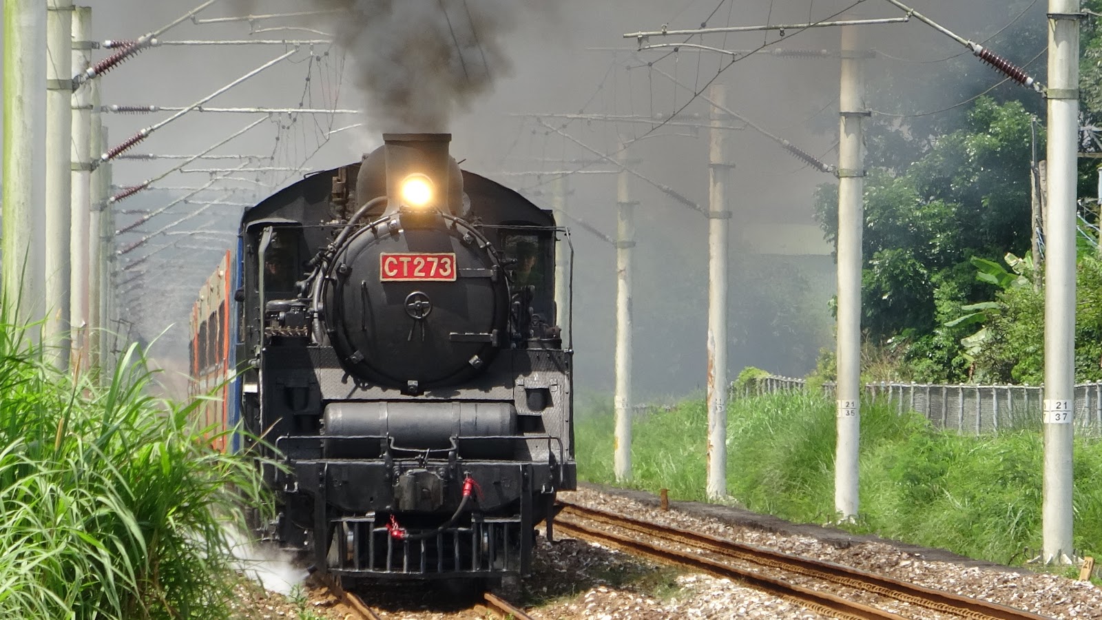 Blair's 鐵道攝影: 2019 歡慶鐵路節、經典蒸汽CT273、熱情海灣3天 - CT273蒸汽機車活動