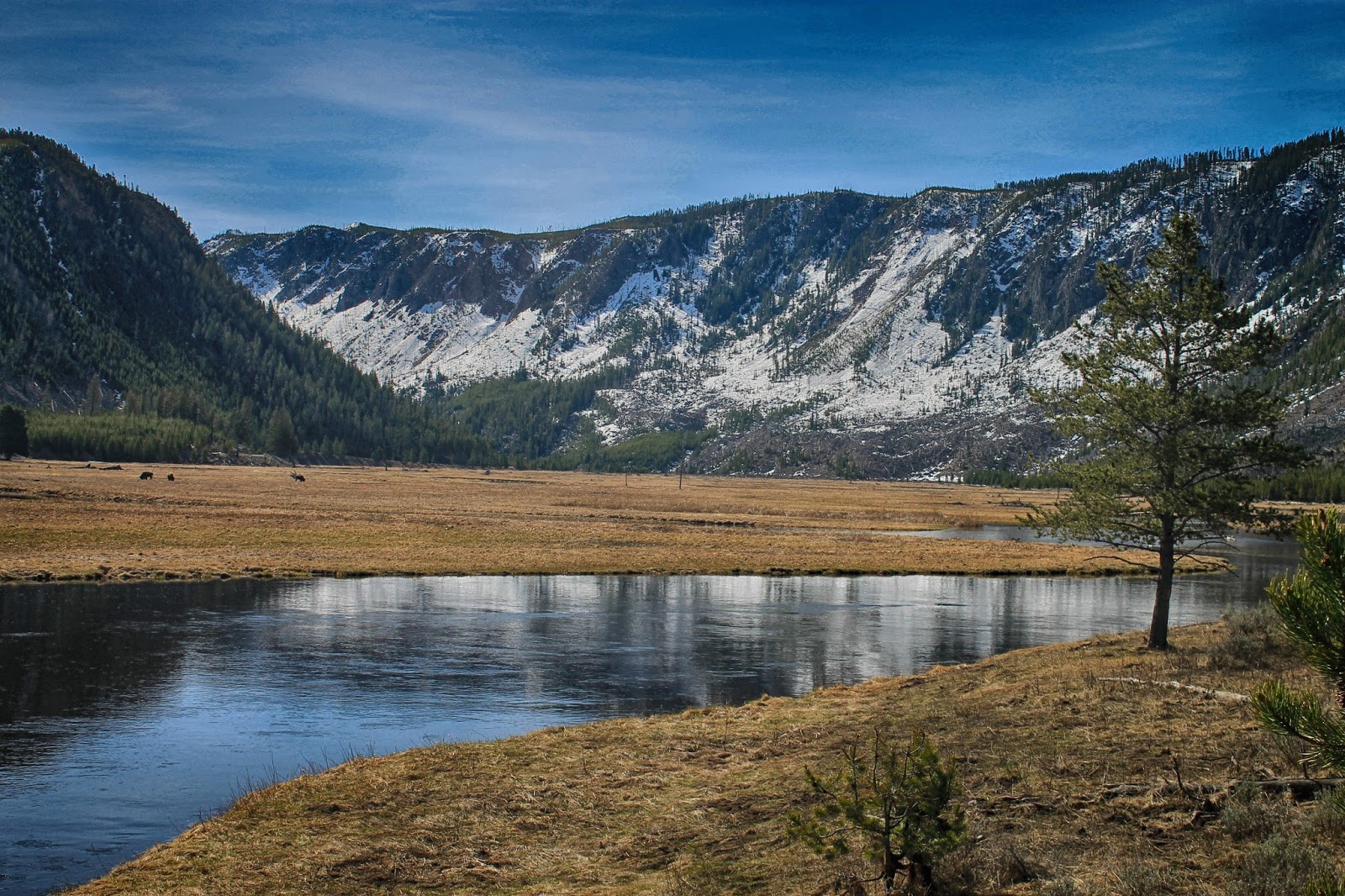 Yellowstone SW, Early Spring