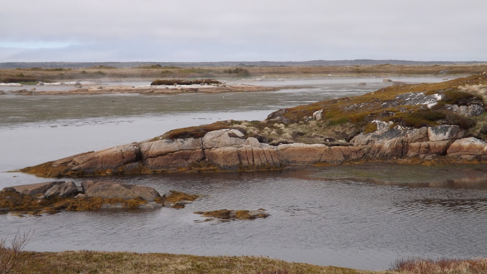 Roadside Chronicles: Life On The Road: DAY 21 Clarenville to Newtown