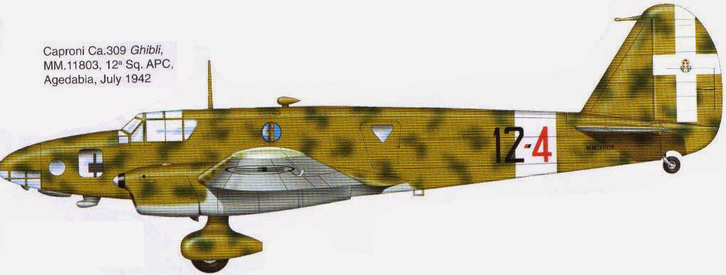 Italian Aircraft of WWII: Caproni Bergamaschi Ca 306/Ca 309