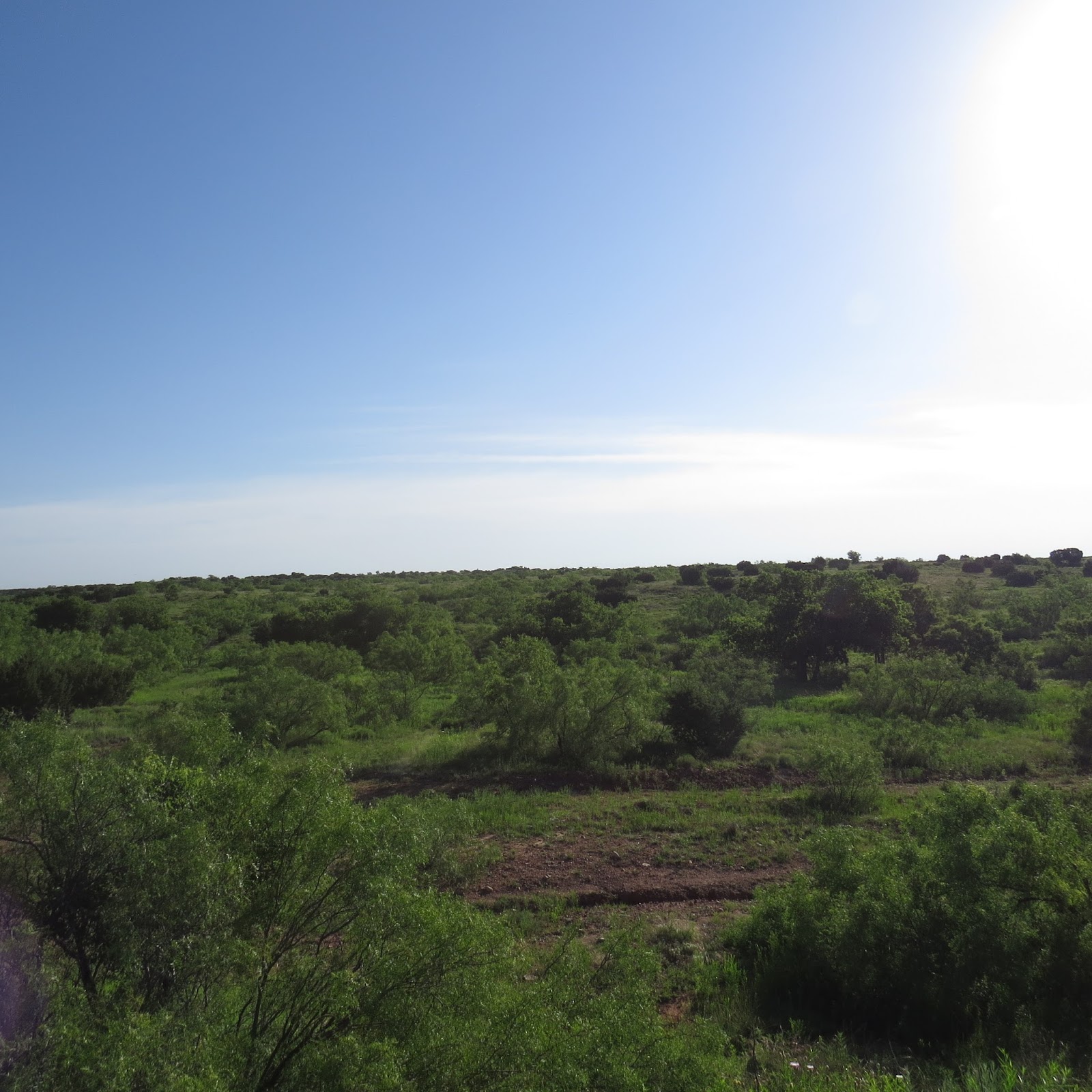Navasota Ranch: Headed home back to Navasota Ranch, Prairie Hills, Texas