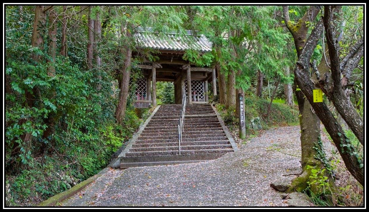 Japon 2014 - De Kōchi à Tosa City