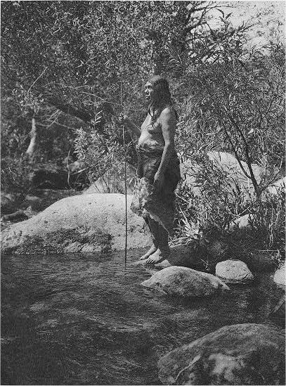 Amazing place: Wonderful things in Yosemite National Park