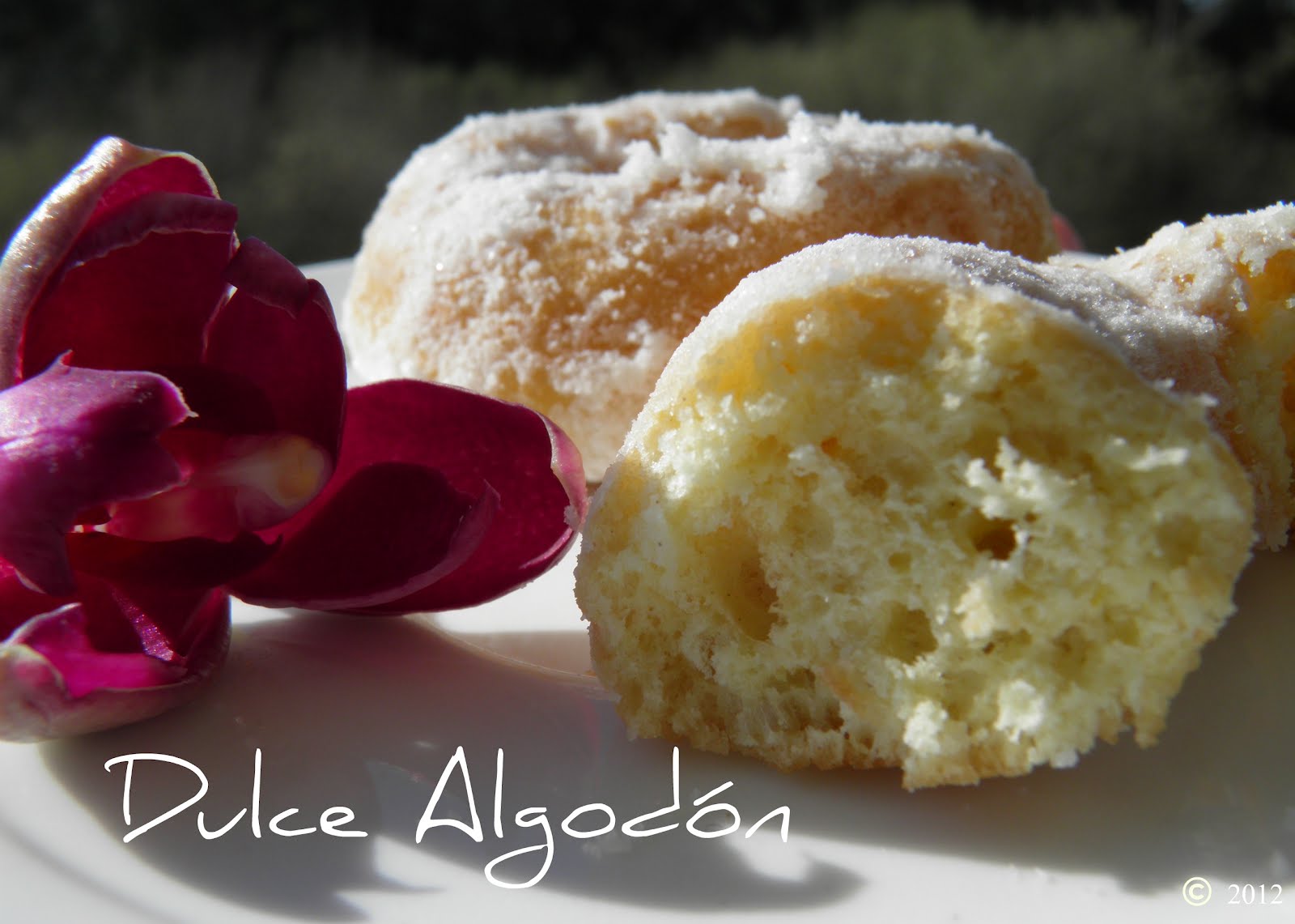 Dulce Algodón: Rosquillas Suaves de Anís